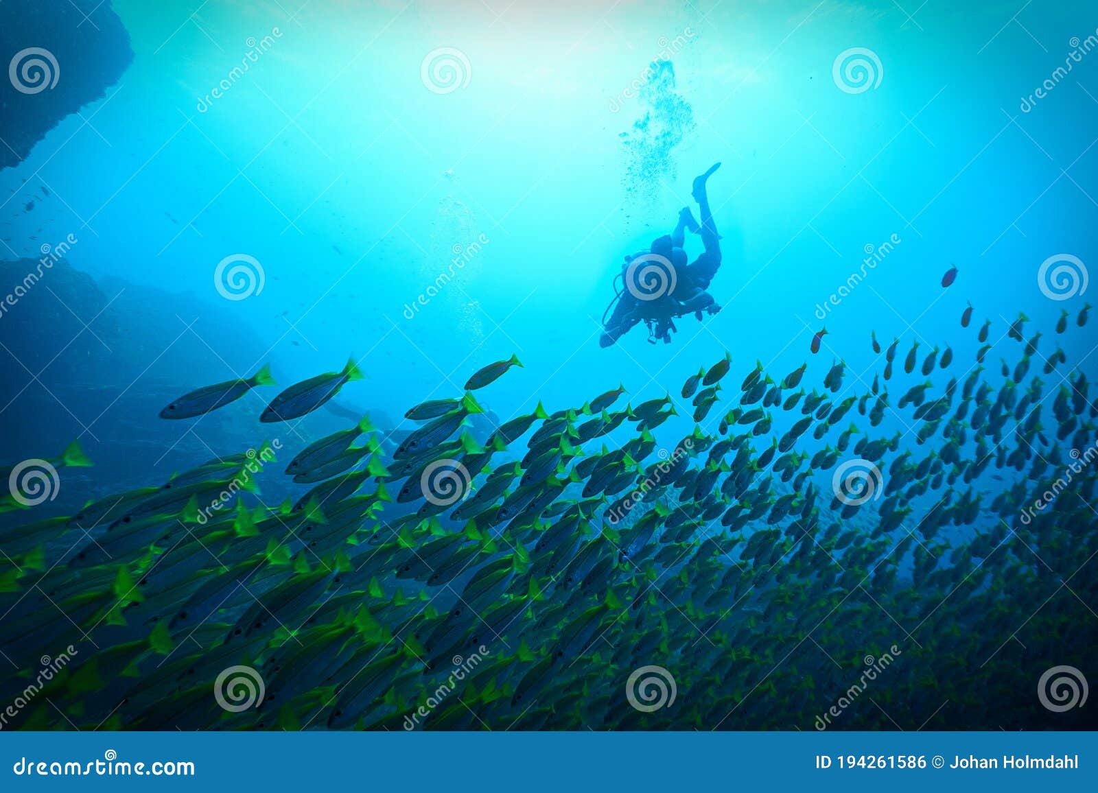 Underwater Scenery with a Scuba Diver Stock Photo - Image of shoal ...