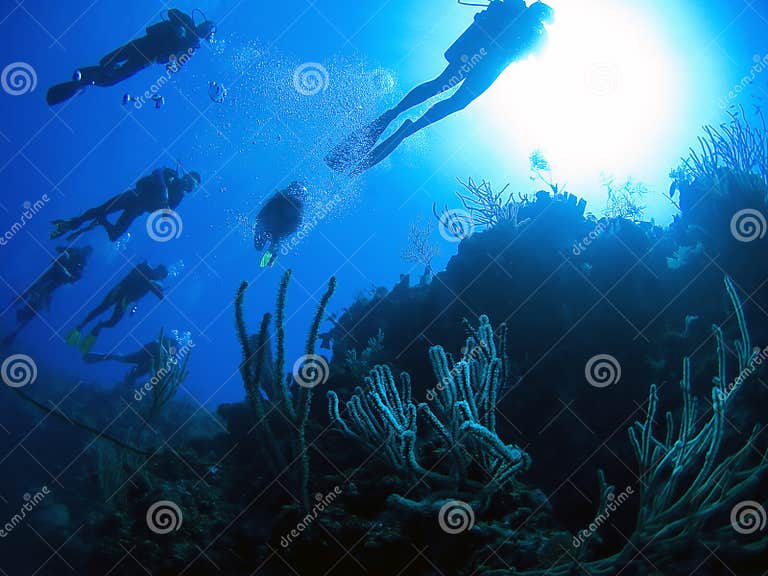 Underwater Scuba Diver Group Stock Photo - Image of diving, dive: 9350874