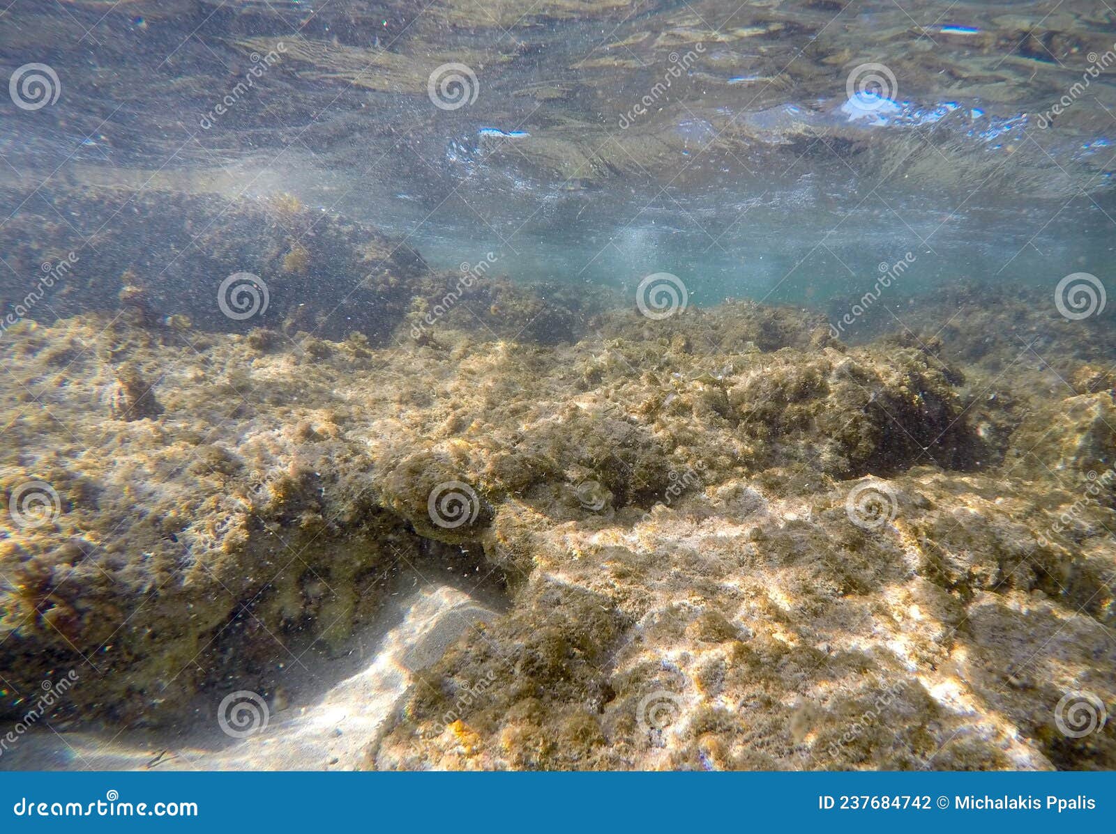 Underwater Sea Background with Rocky Bottom Stock Photo - Image of ...