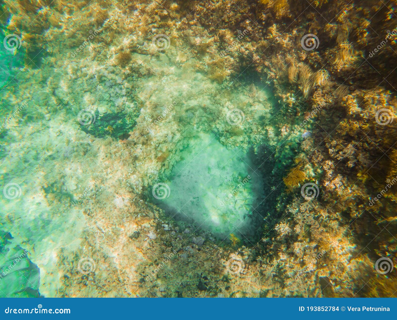 Underwater sea bottom view stock photo. Image of light - 193852784