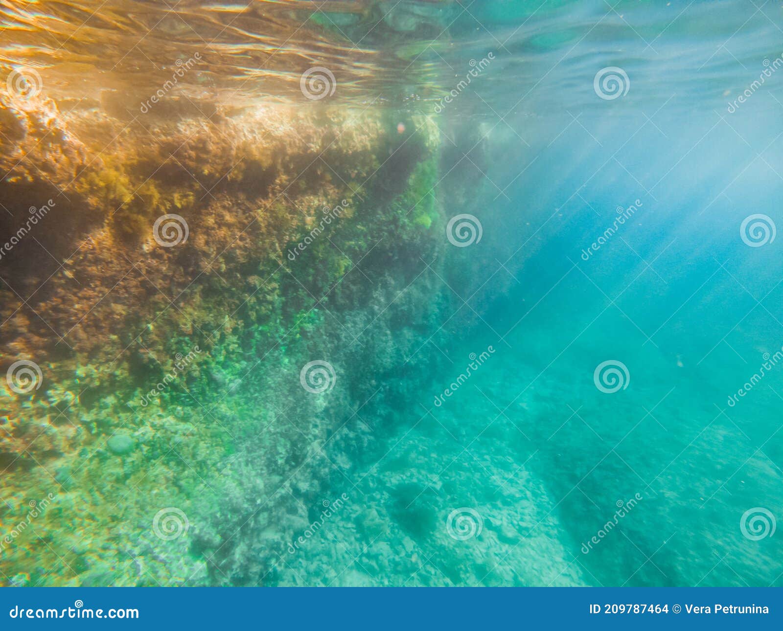 Underwater sea bottom view stock photo. Image of clear - 209787464