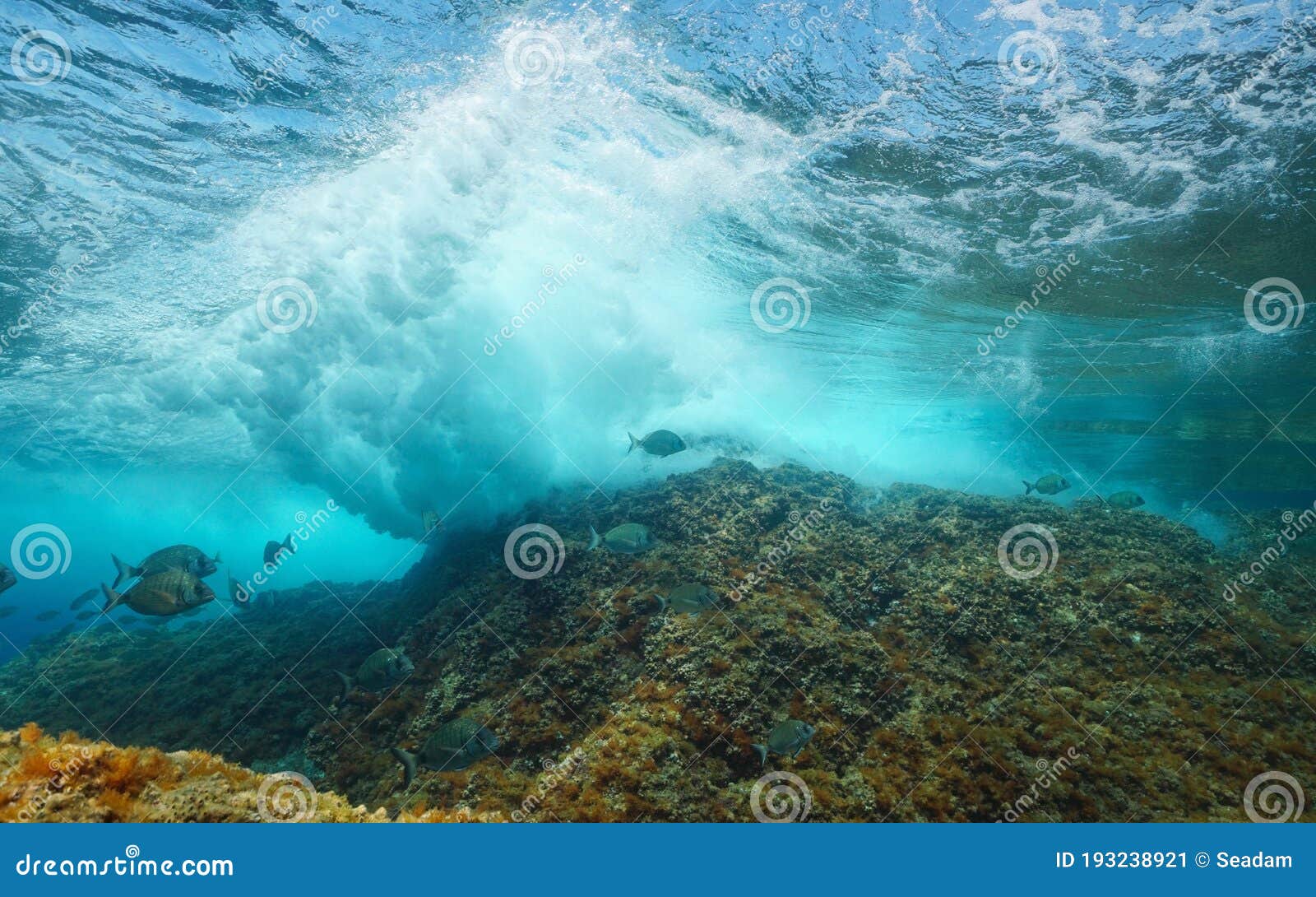 Underwater Sea Wave Breaking on Rock Stock Image - Image of occitanie ...