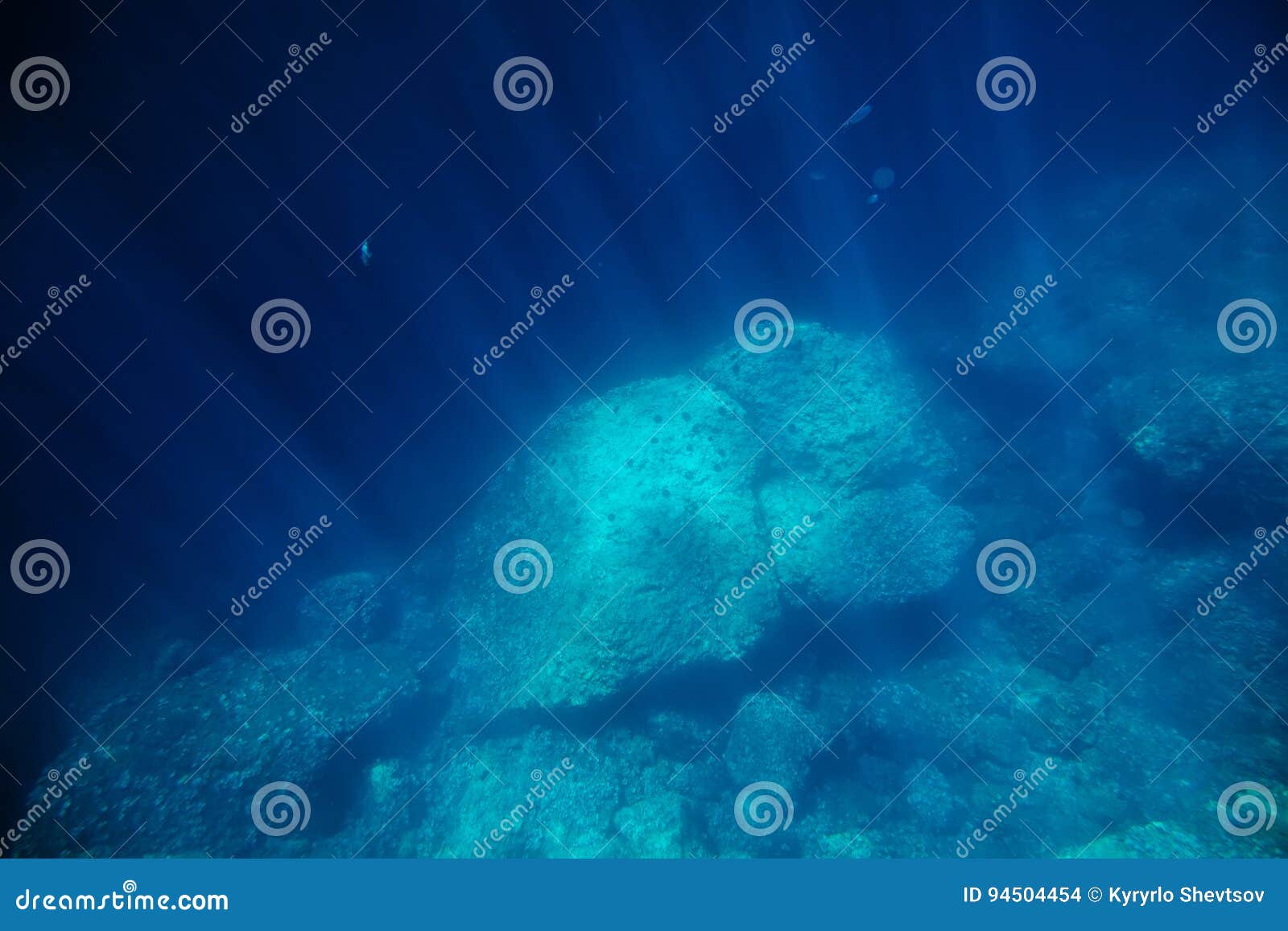 Underwater Seabed with Sunlight Stock Photo - Image of seabed, backdrop ...