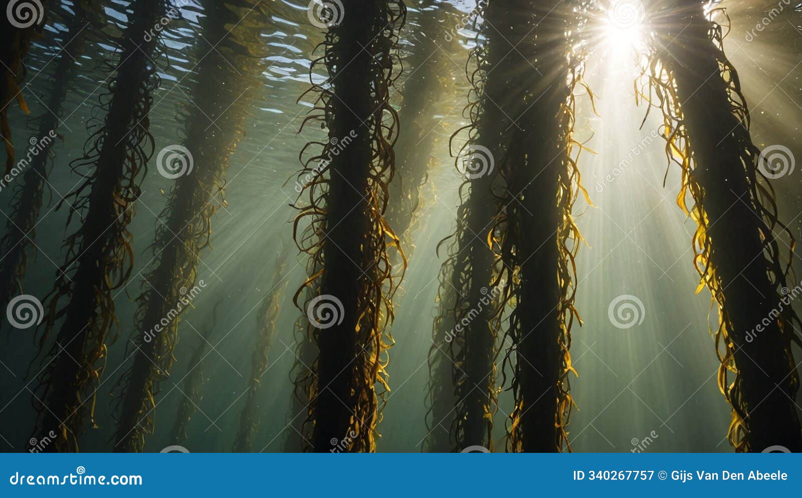 Underwater Serenity Sunlight Rays Illuminate Giant Clam On Seabed ...