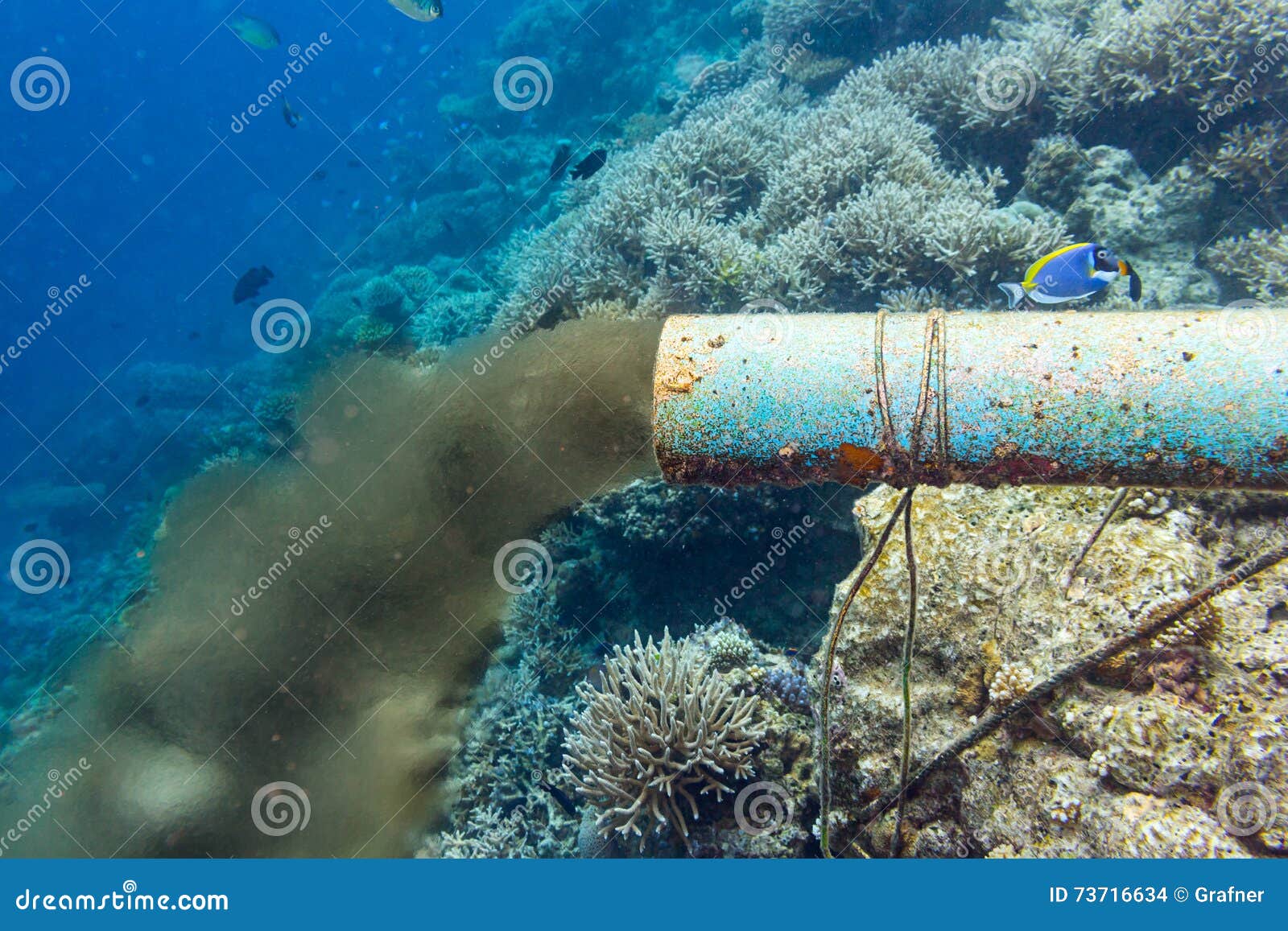 Underwater sewer pipe stock photo. Image of industry - 73716634