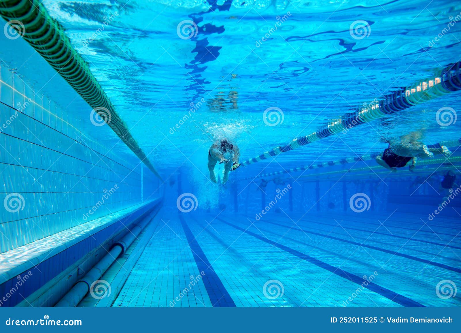 Underwater Shooting Of A Swimmer In A Swimming Pool Royalty-Free Stock ...