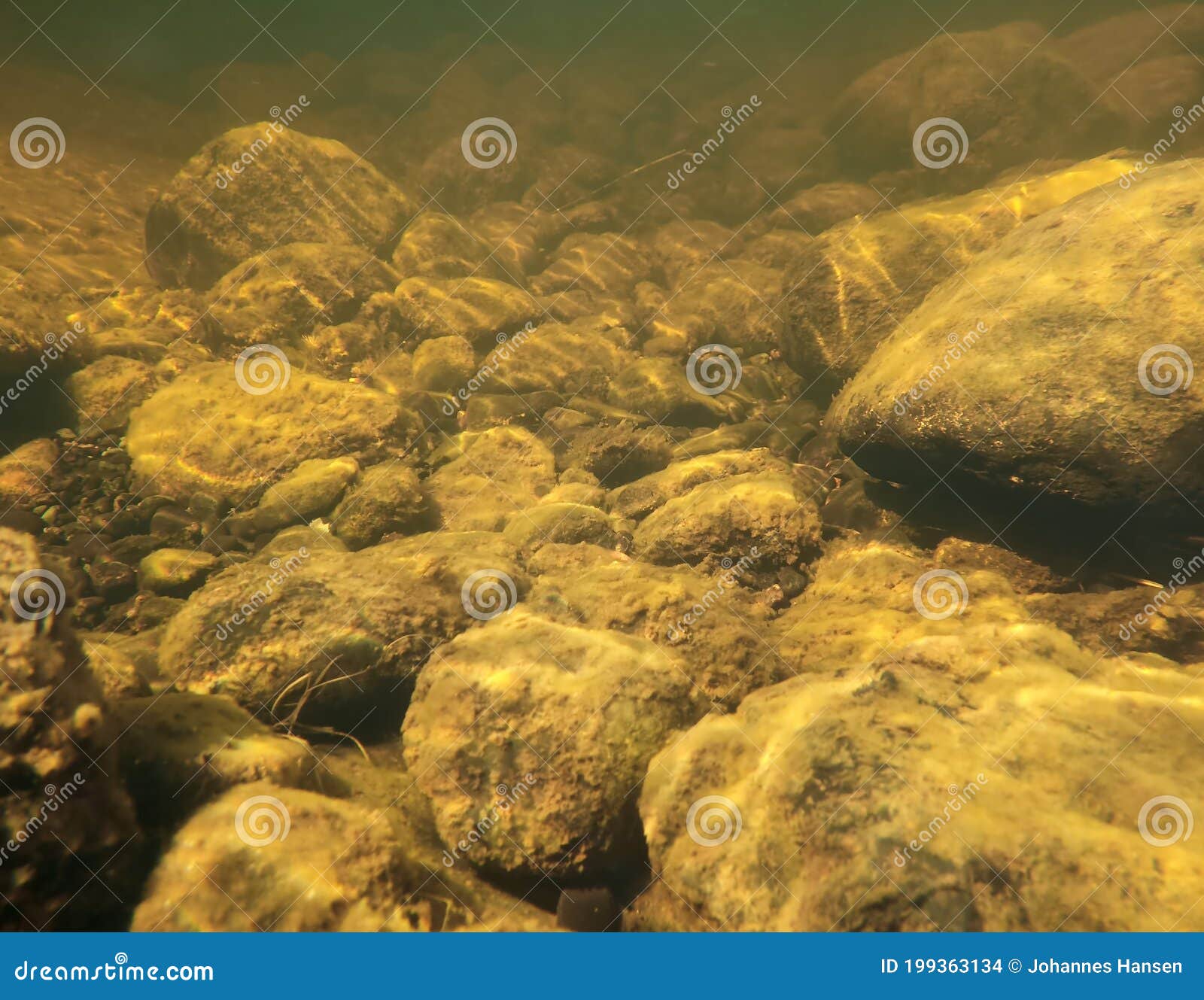 Underwater Shot of Rocks in a Shallow Stream Stock Photo - Image of ...