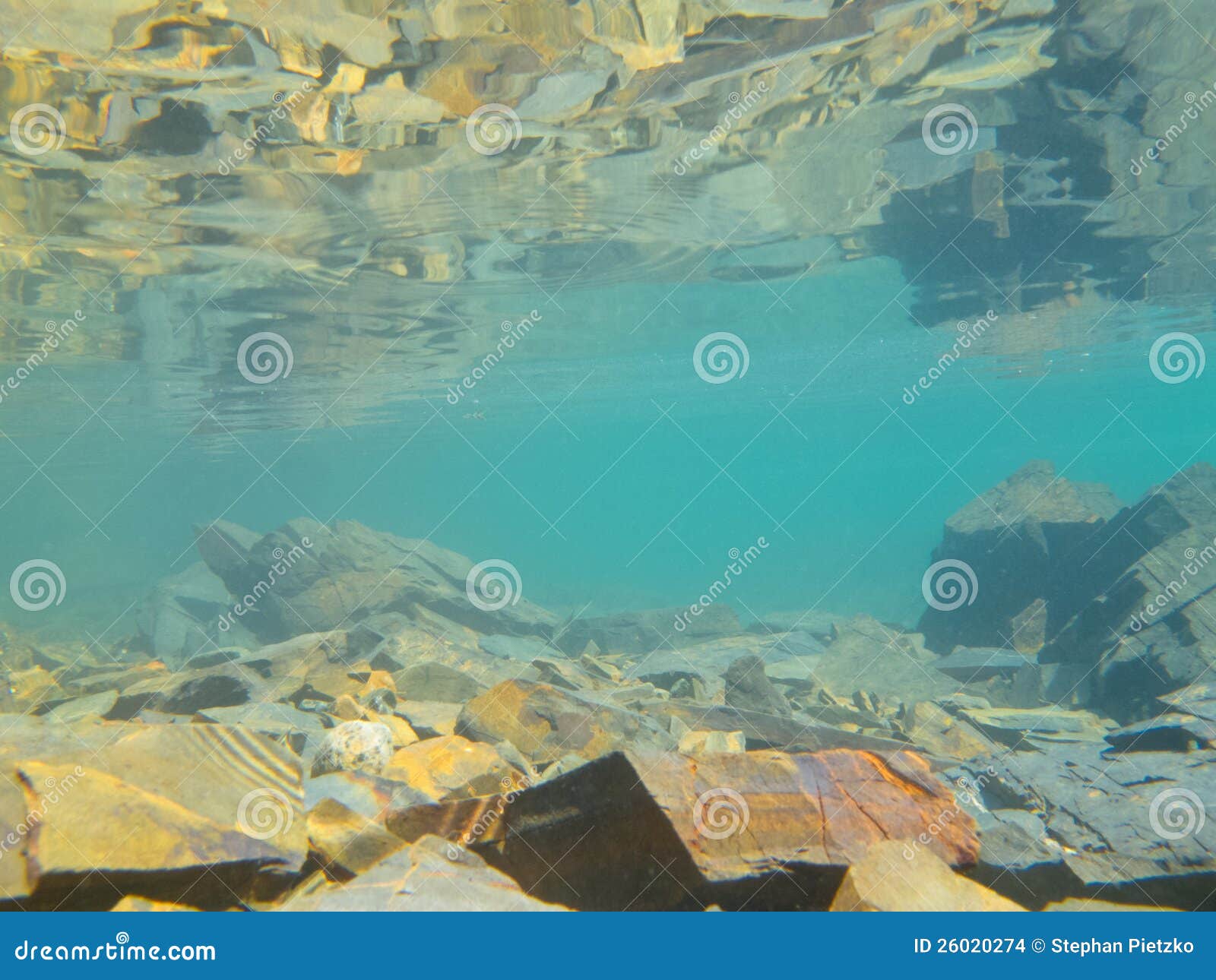 Underwater Shot In Shallow Water Over Rocky Bottom Stock Photo - Image ...