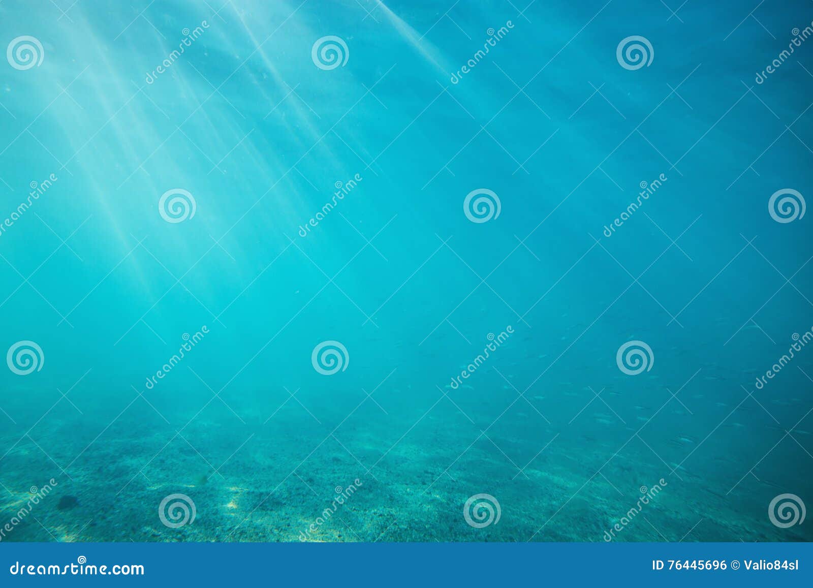 Underwater Shot with Sunrays and Fish in Deep Tropical Sea Stock Photo ...