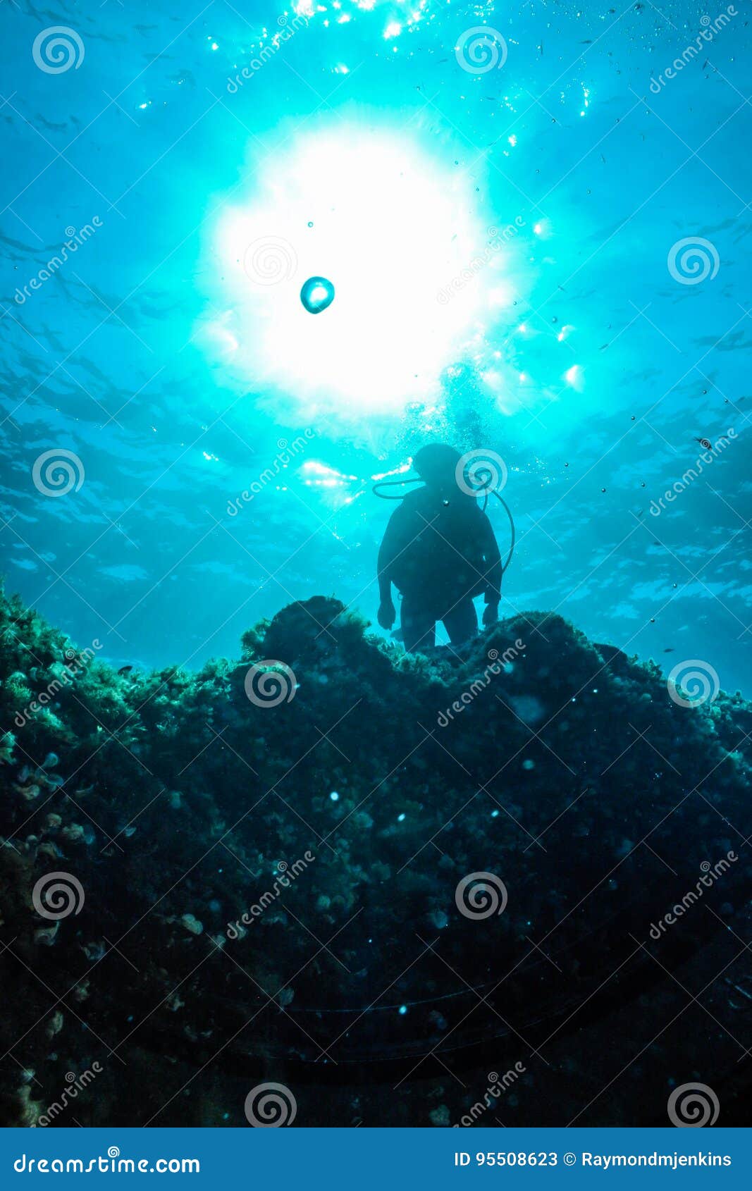 Underwater Silhouette Of Freediver. Stock Photo | CartoonDealer.com ...
