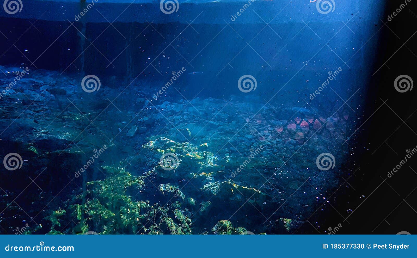 Underwater Spring with Blue Water Stock Photo - Image of reef, coral ...