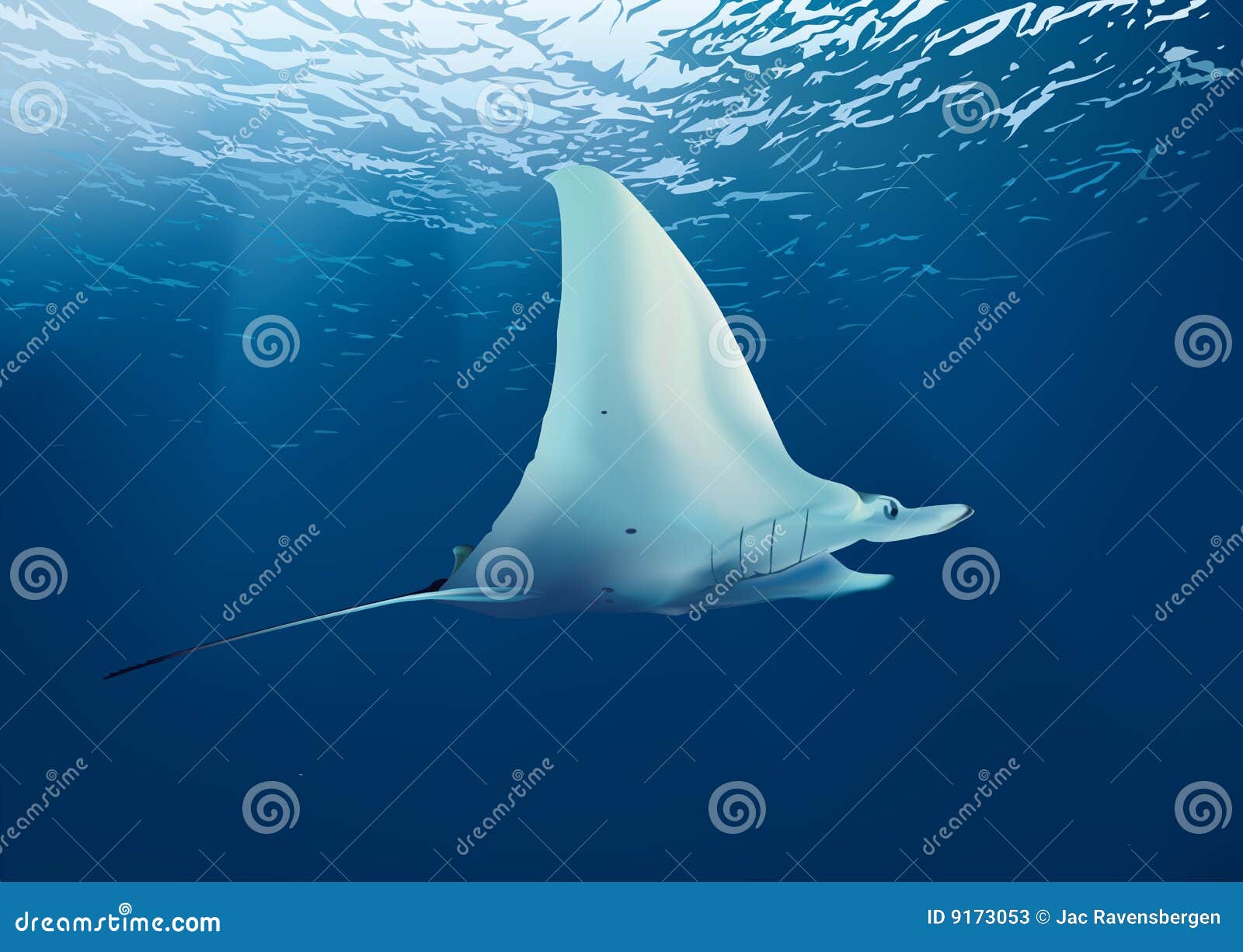 Underwater Stingray Sea Stock Photos - Image: 9173053