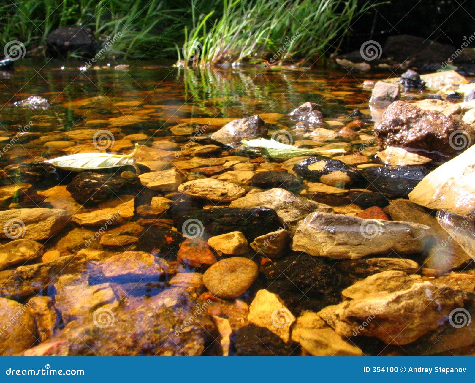 Underwater stones stock photo. Image of current, natural - 354100