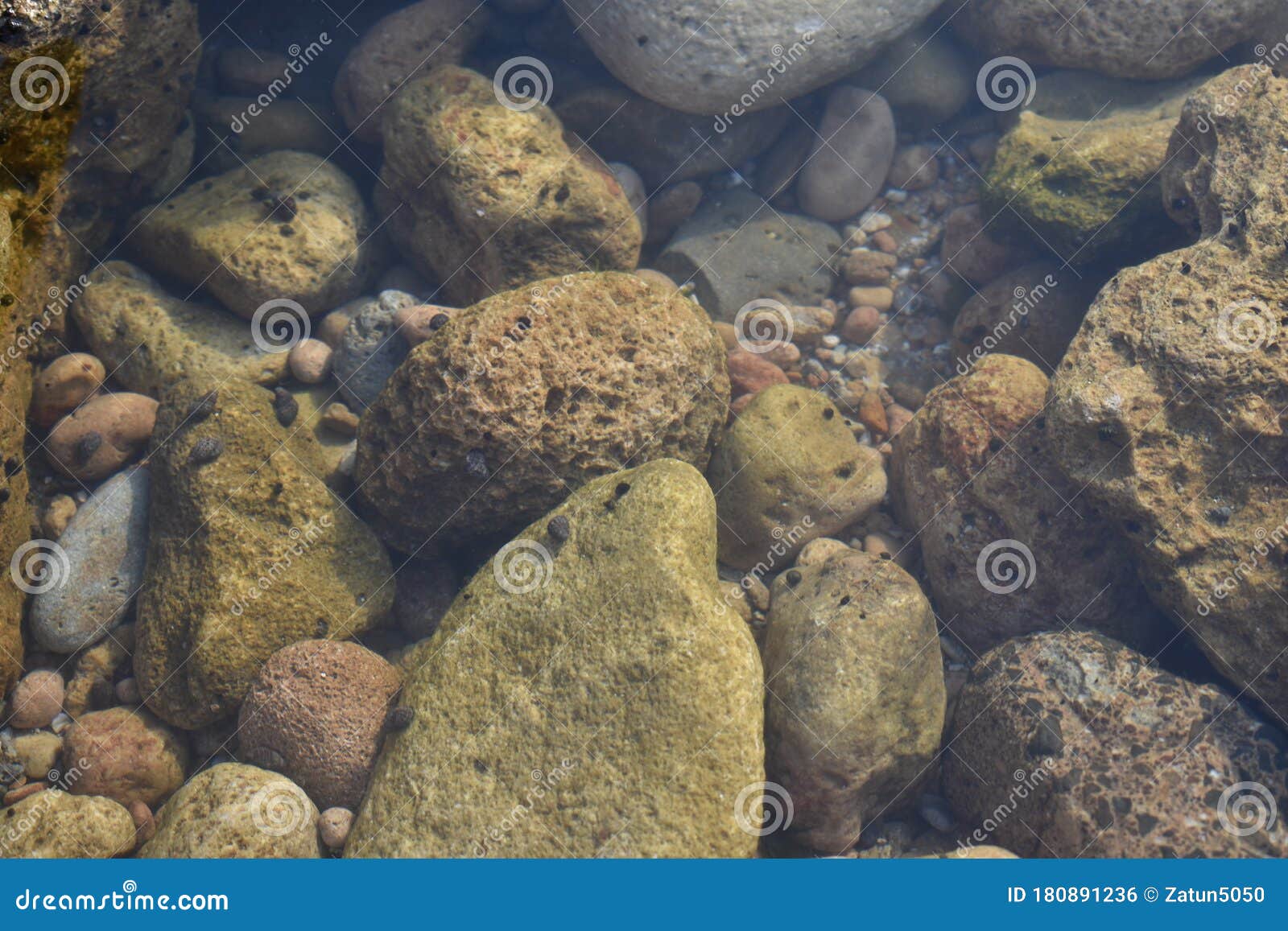 Underwater Stones Stock Image | CartoonDealer.com #2721463