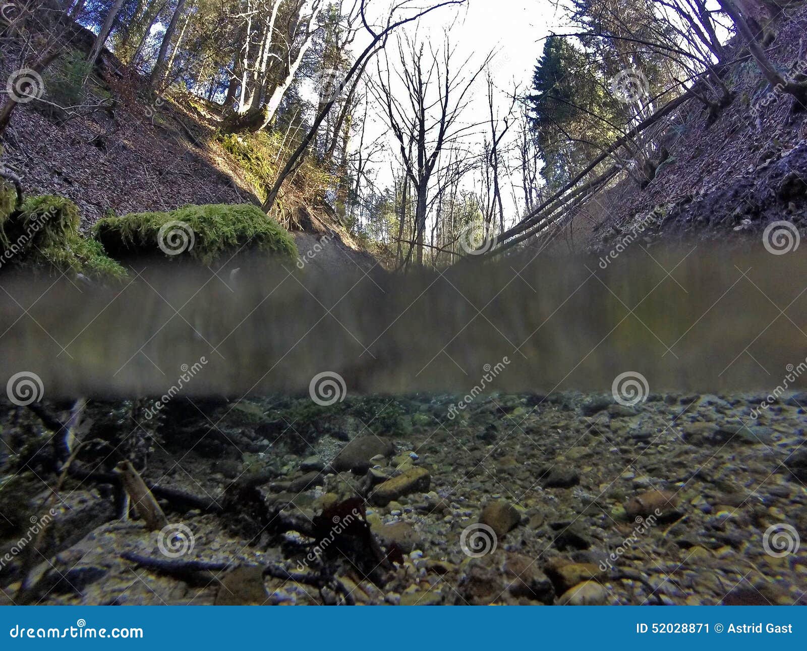 Underwater by a stream stock image. Image of forest, nature - 52028871