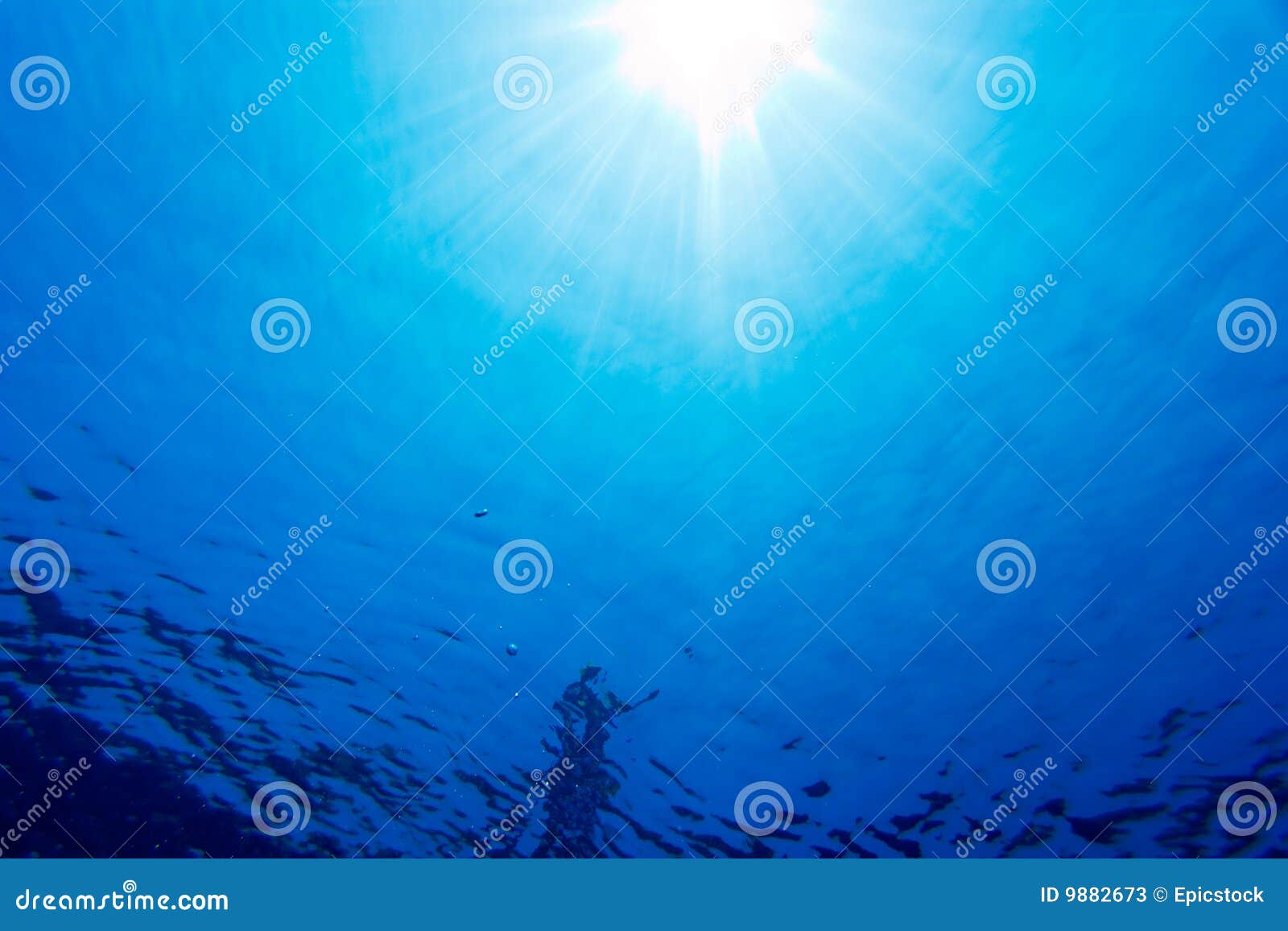 Underwater Sun Rays stock image. Image of outdoors, life - 9882673