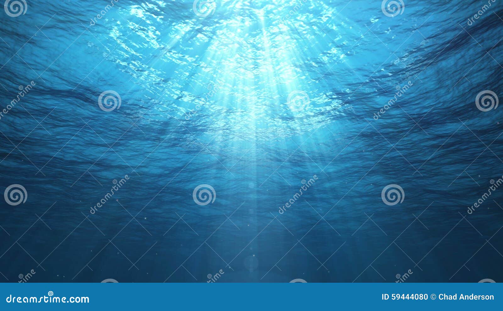 Underwater Sun Rays Stock Footage & Videos - 710 Stock Videos