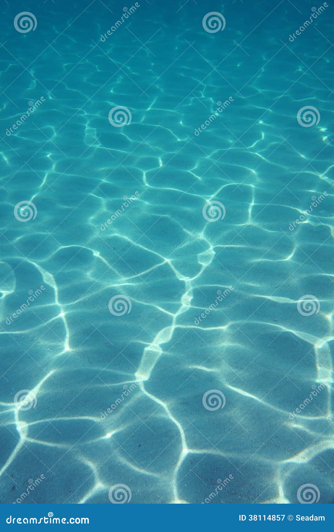 Underwater Ocean Floor Background