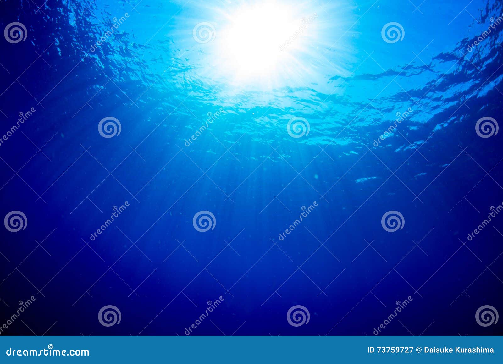 Underwater Sunlight Wallpaper