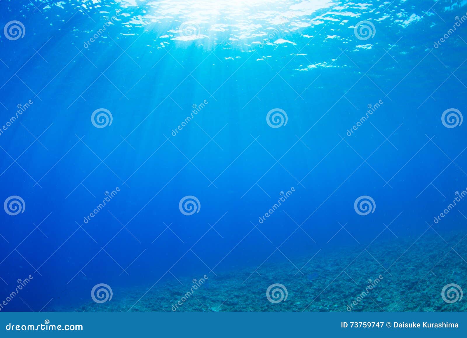 Underwater Sunlight Wallpaper