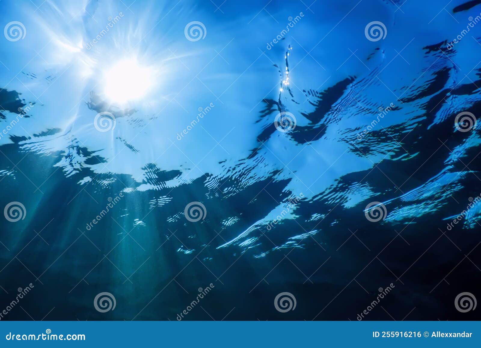 Underwater Sunlight through Water Surface Stock Photo - Image of ocean ...