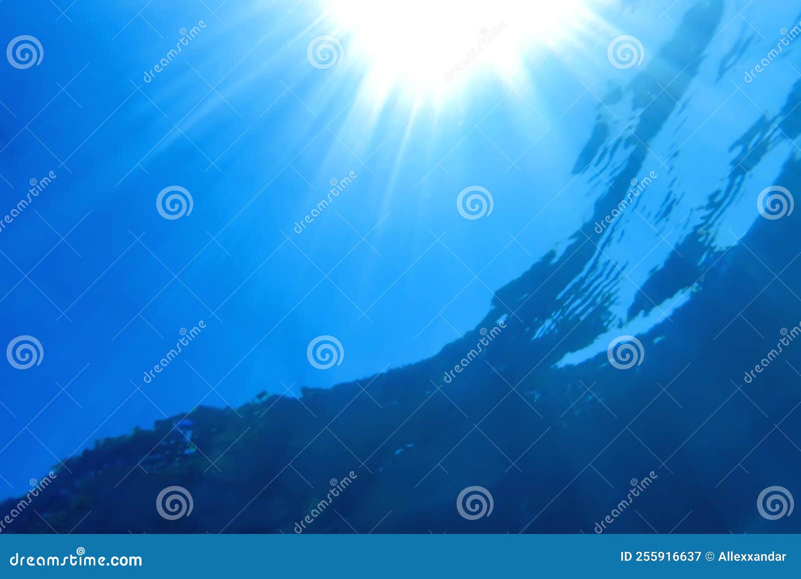 Underwater Sunlight through Water Surface Stock Image - Image of ...