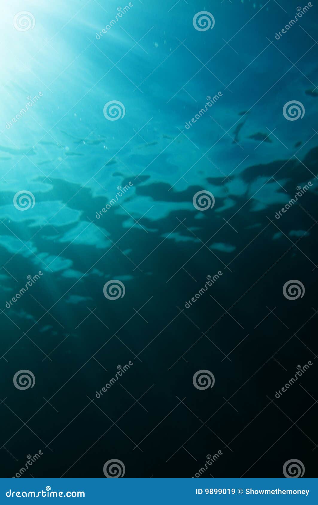 Underwater sunrays stock image. Image of ocean, aqua, diving - 9899019