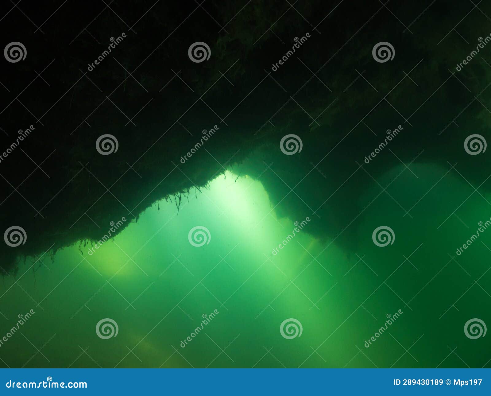 Floating Peat Shores Formed By Sphagnum Moss Stock Image ...