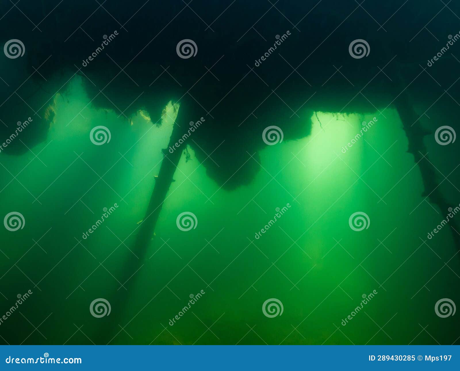 Floating Peat Shores Formed By Sphagnum Moss Stock Image ...