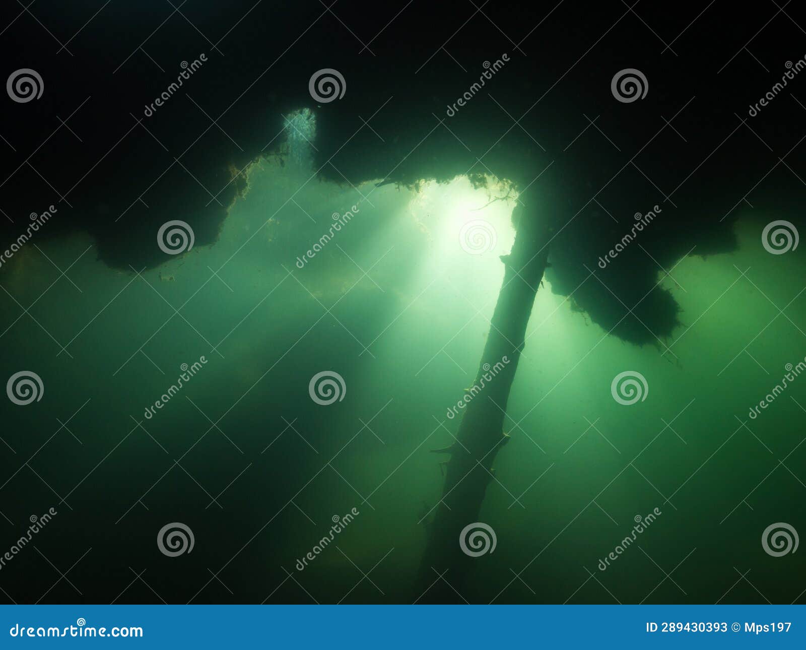 Floating Peat Shores Formed By Sphagnum Moss Stock Image ...