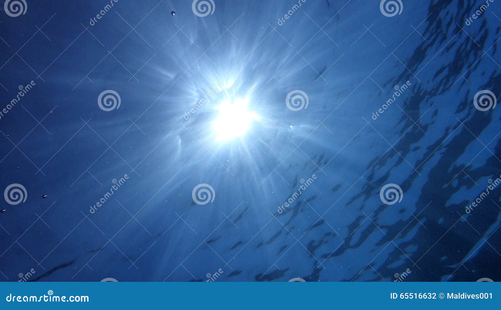 Underwater Sunshine stock photo. Image of beauty, seaweed - 65516632