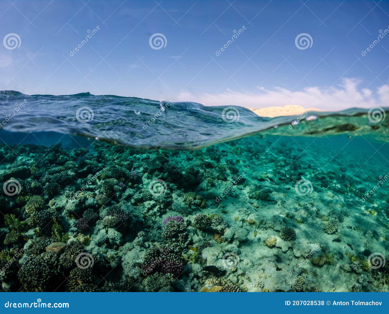 Underwater and Surface Split View on Coral Reef in Exotic Sea Stock ...