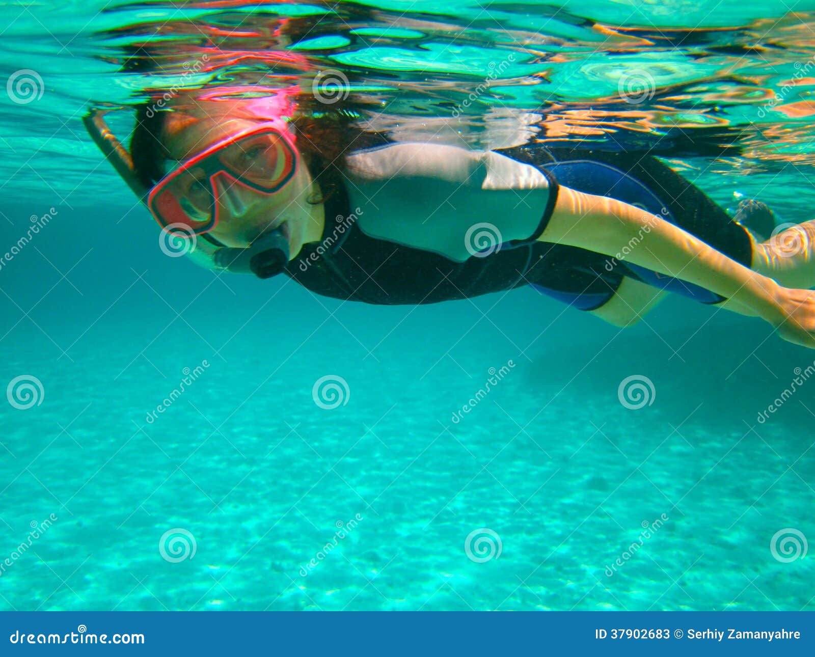 Underwater swimmer stock image. Image of diving, coral - 37902683