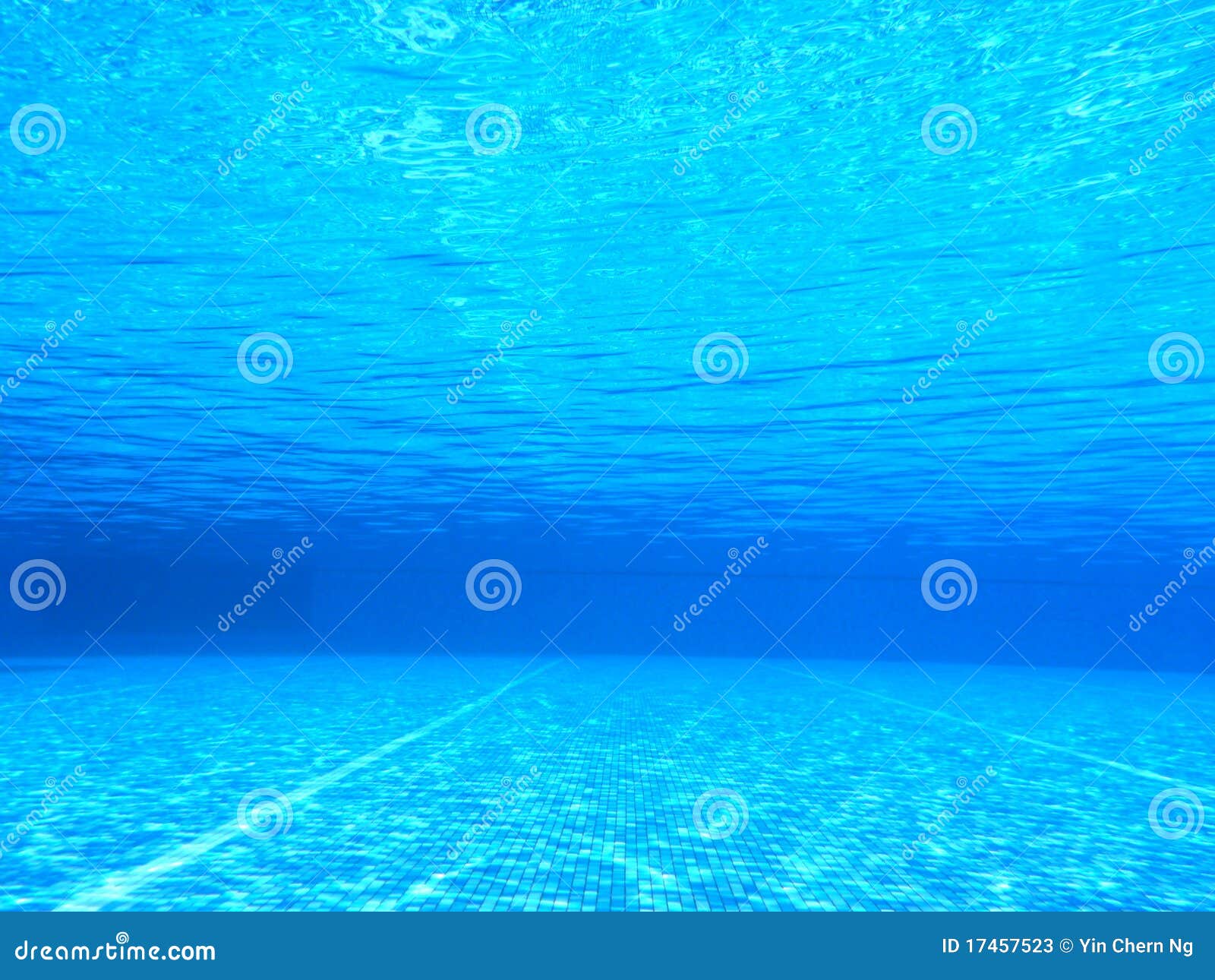 Underwater at the Swimming Pool Stock Image - Image of pool, serene ...