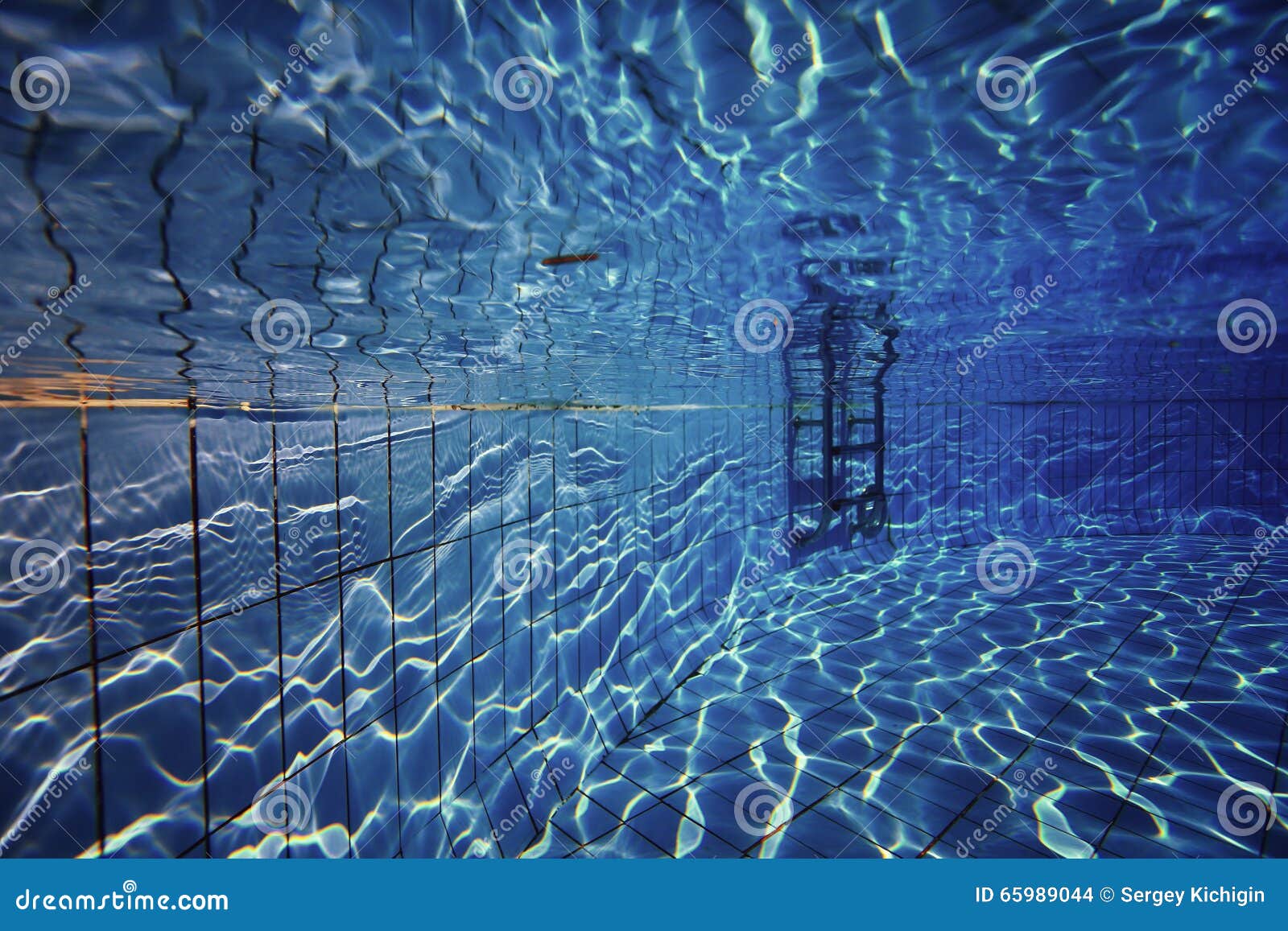Underwater in Swimming Pool Stock Photo - Image of reflection, color ...