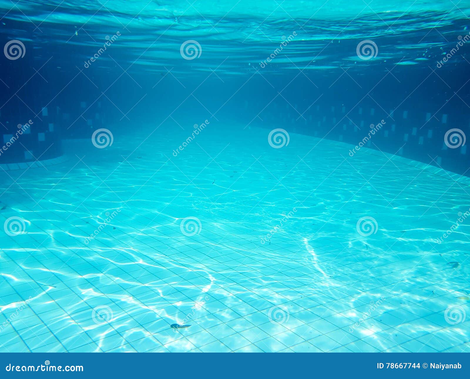 Underwater swimming pool stock photo. Image of swimming - 78667744