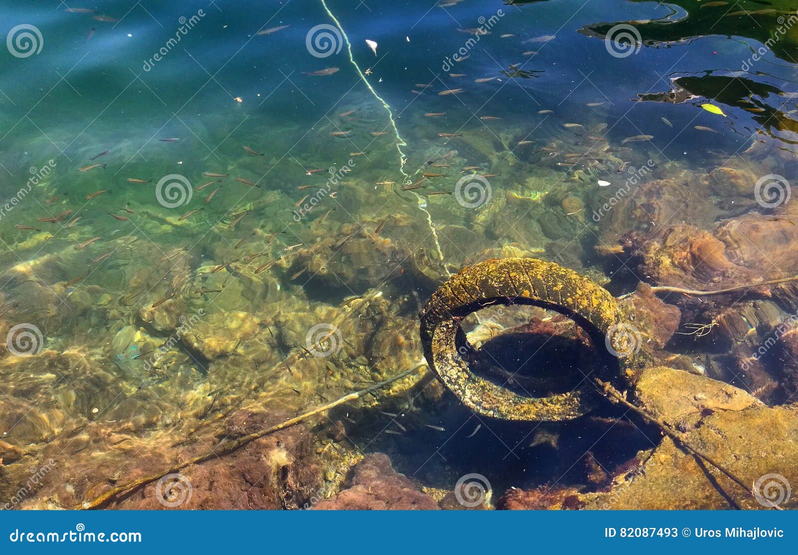 Underwater tire stock image. Image of fish, underwater - 82087493