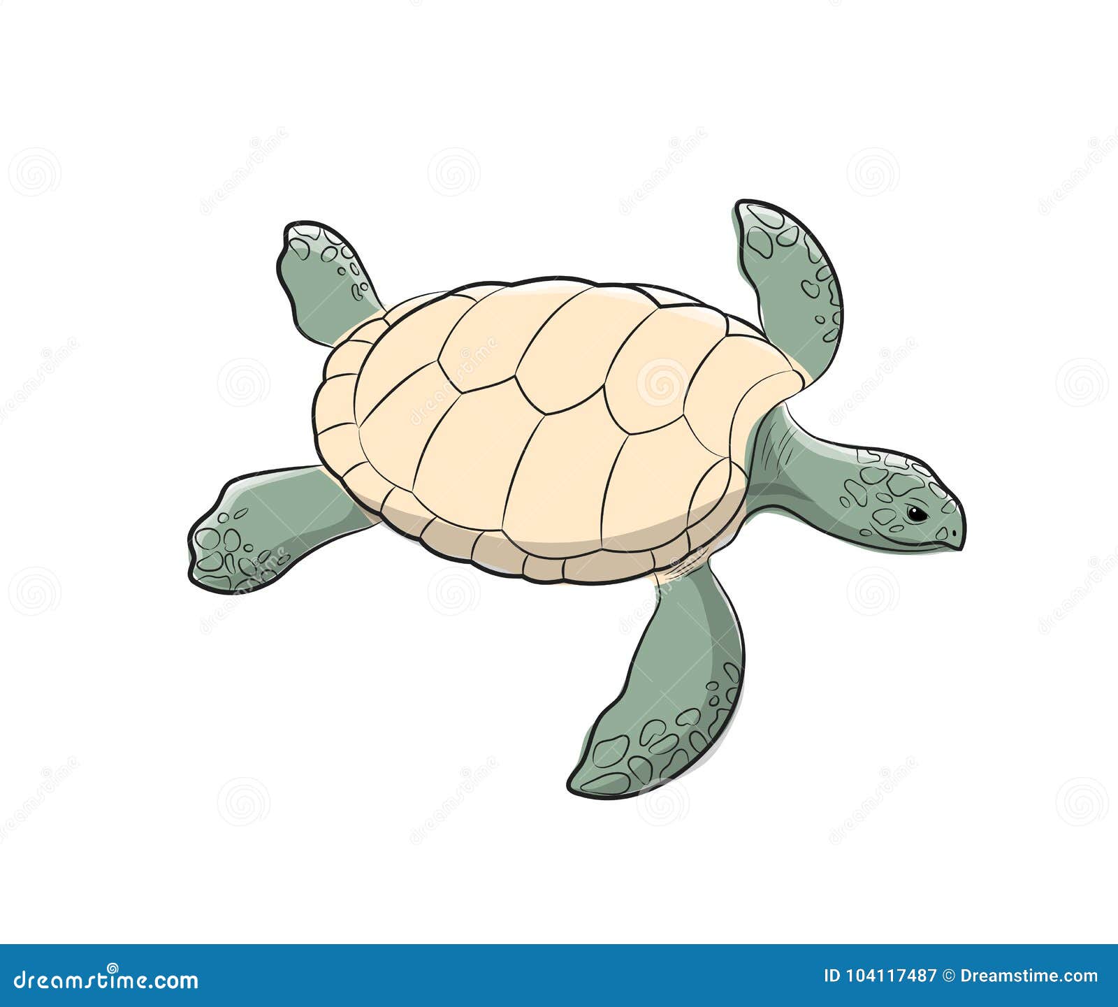 Tortoise Vector Illustration Stock Vector - Illustration of tortoise ...