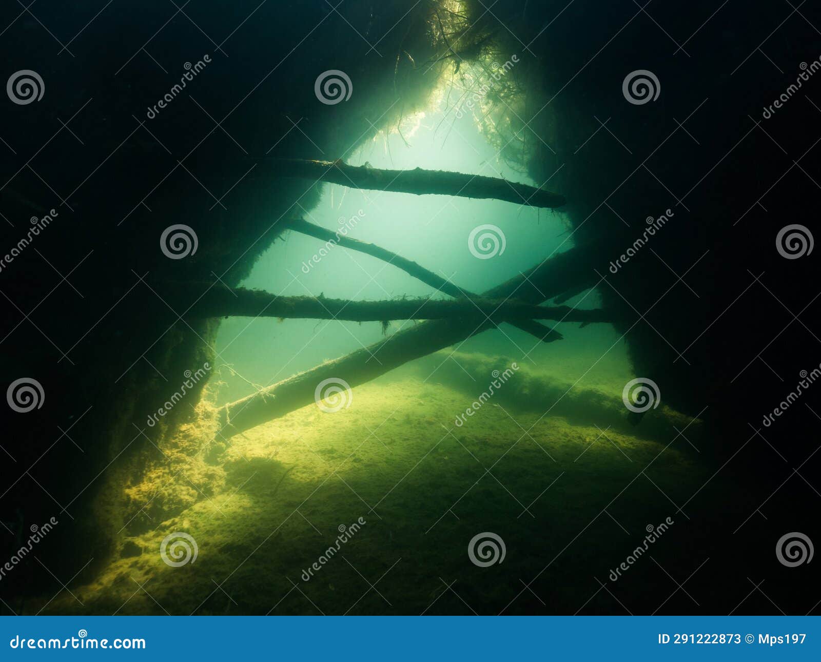 Floating Peat Shores Formed By Sphagnum Moss Stock Image ...