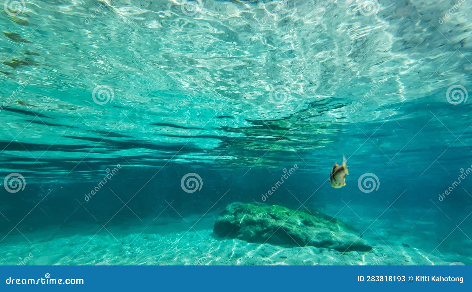 Underwater Turquoise Texture in Water Wide Angle View Stock Image ...