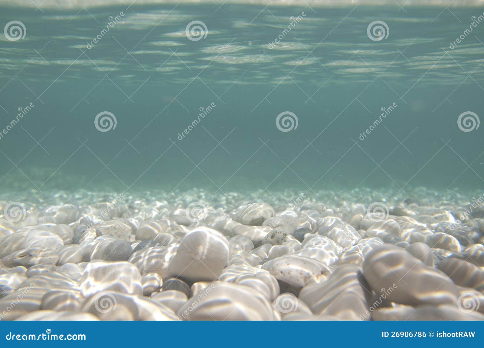 Underwater view stock photo. Image of water, undersea - 26906786