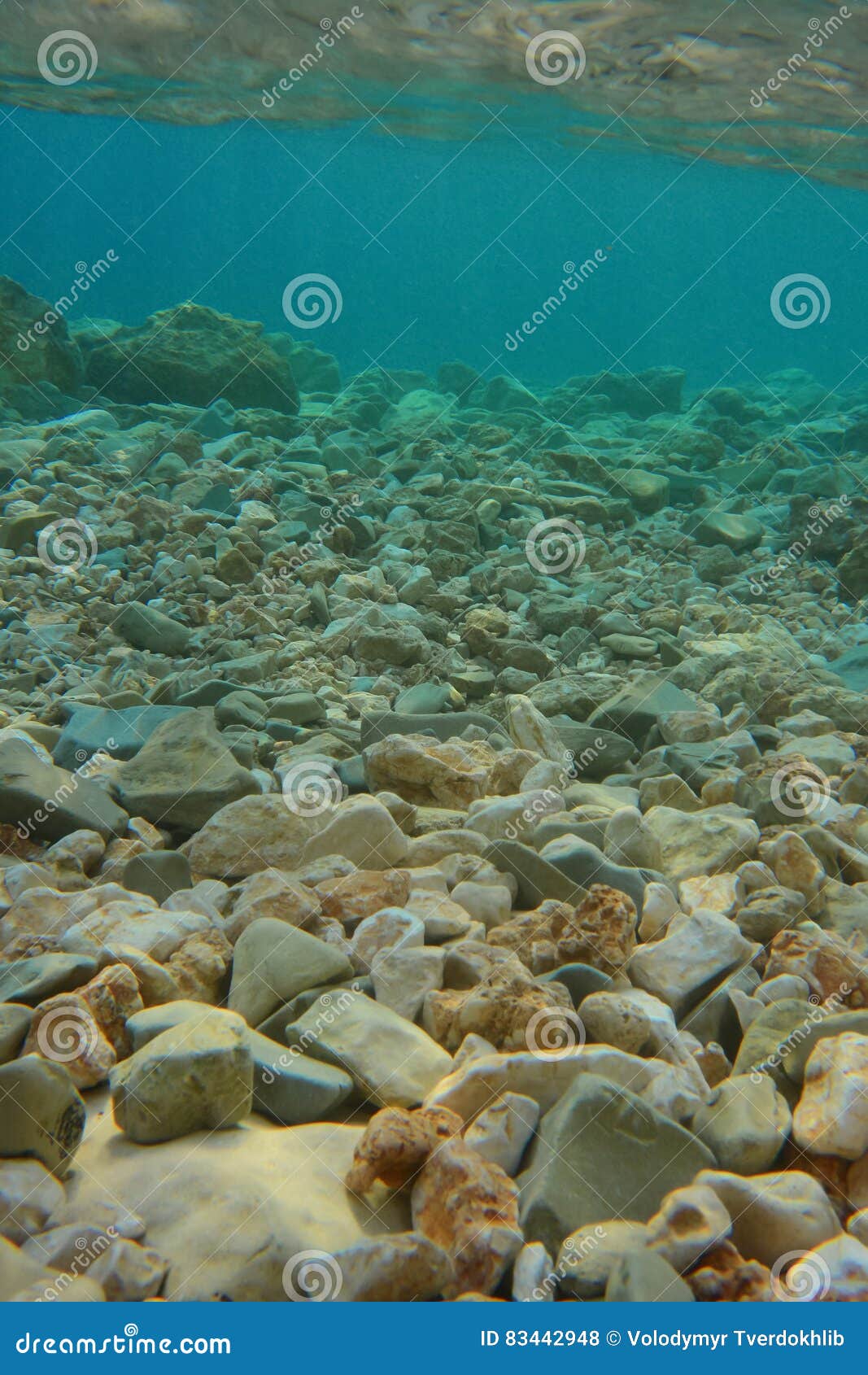 Underwater view of bottom. stock photo. Image of rocks - 83442948