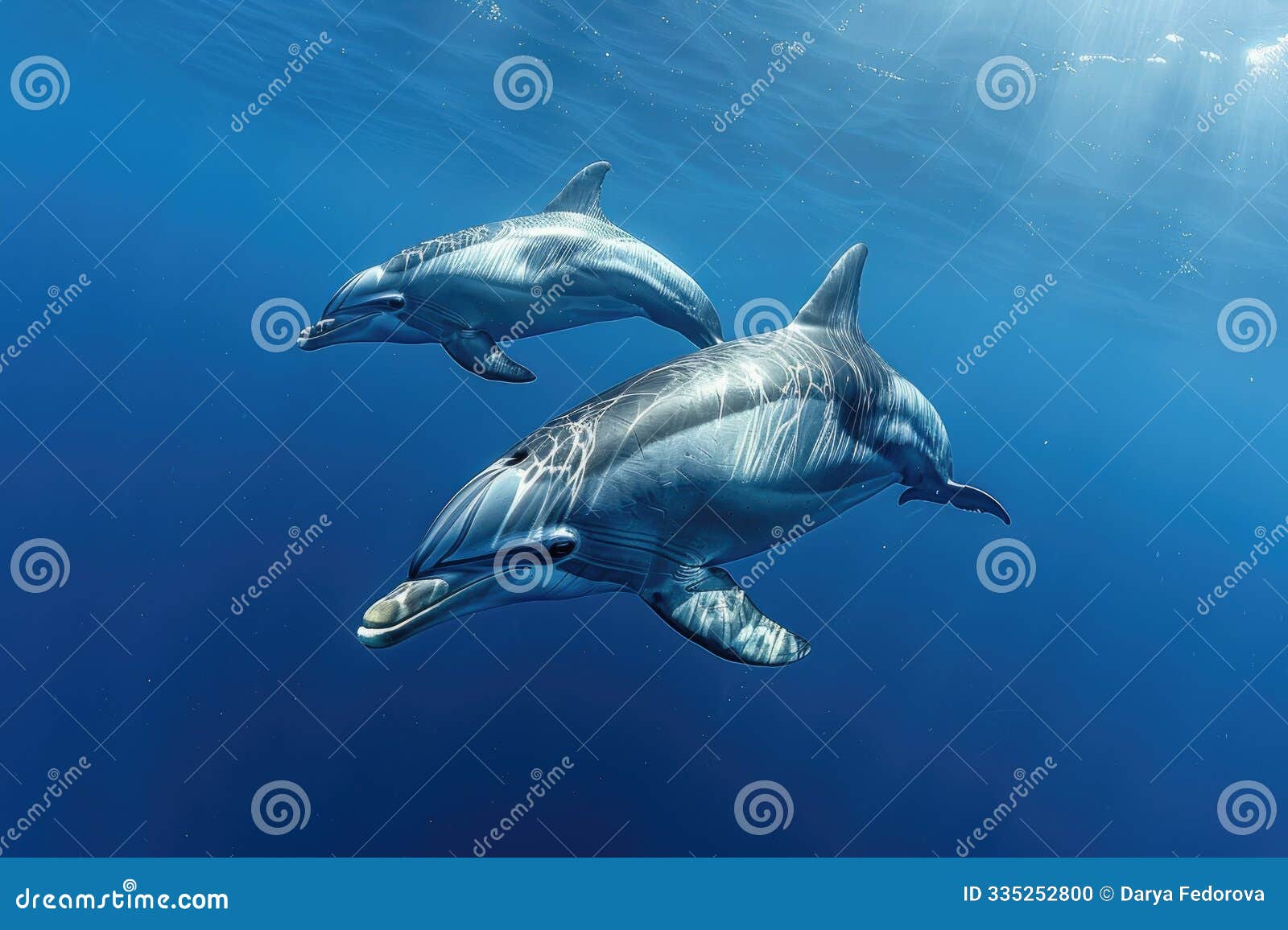 Underwater View of Dolphins Swimming in the Deep Blue Ocean Stock Photo ...