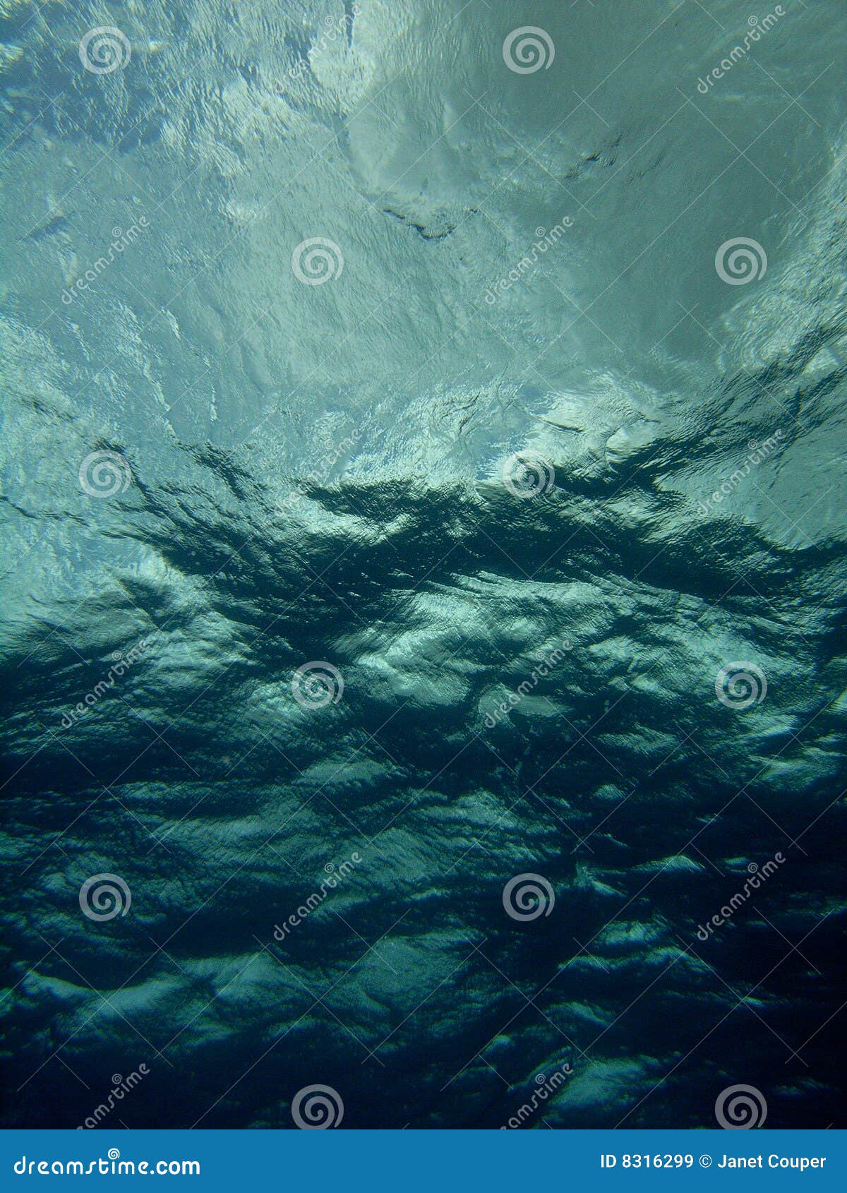 Underwater view of ocean stock image. Image of peace, colours - 8316299