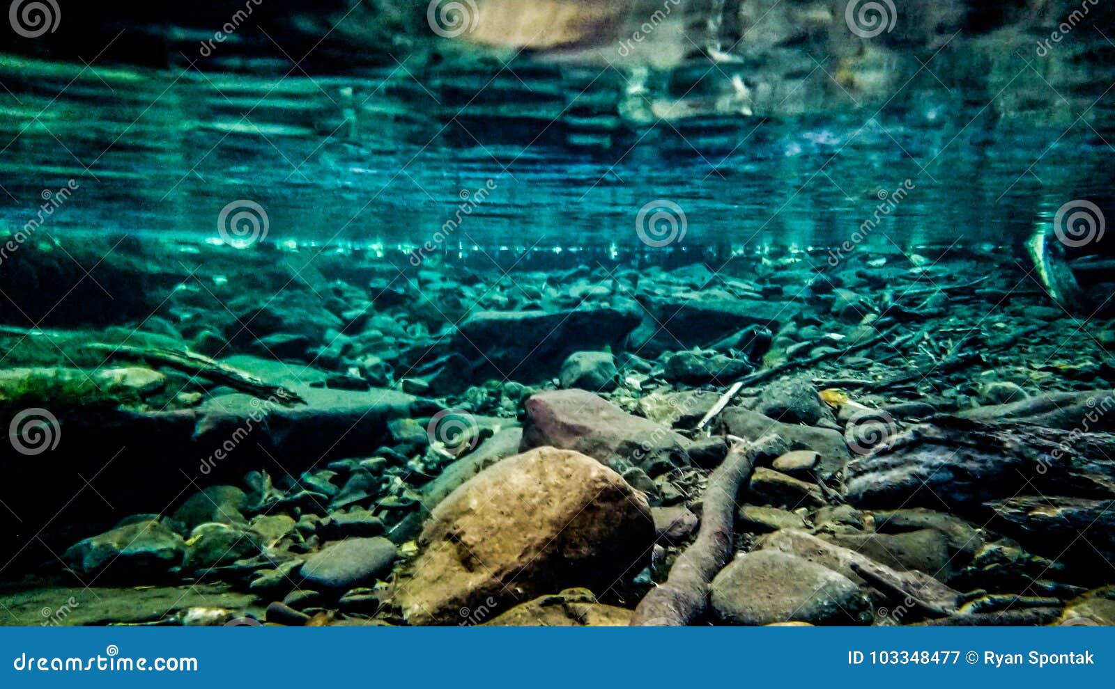 Underwater view of a pond stock image. Image of nature - 103348477