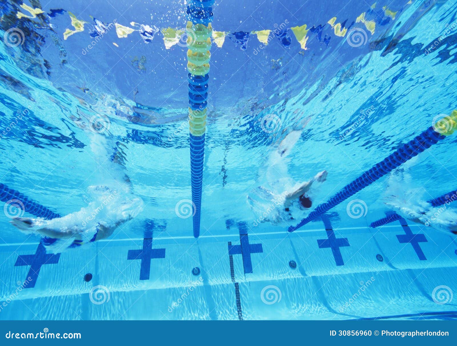 Underwater View of Professional Participants Racing in Pool Stock Photo ...