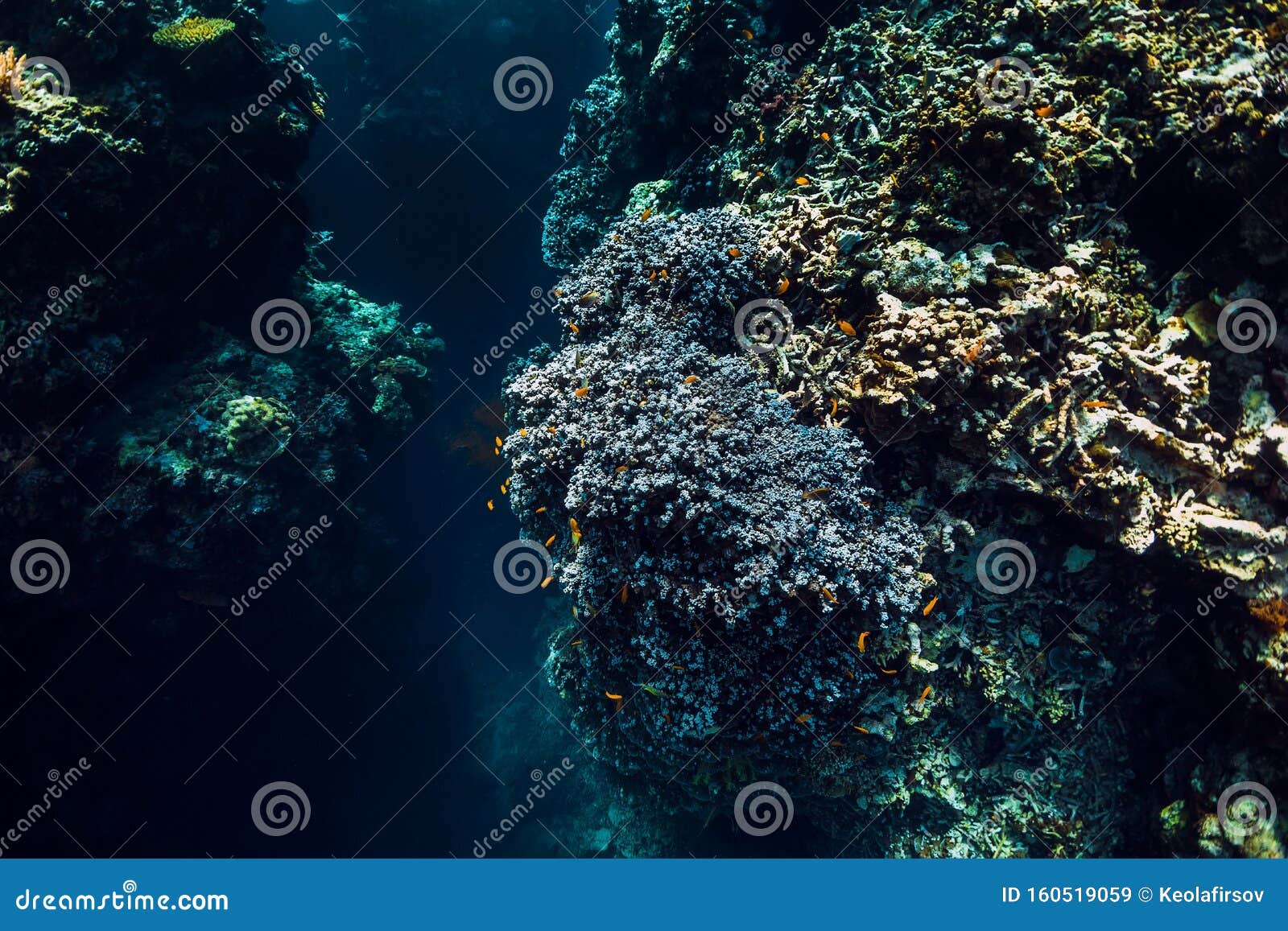 Underwater View with Rocks and Corals in Transparent Blue Ocean ...