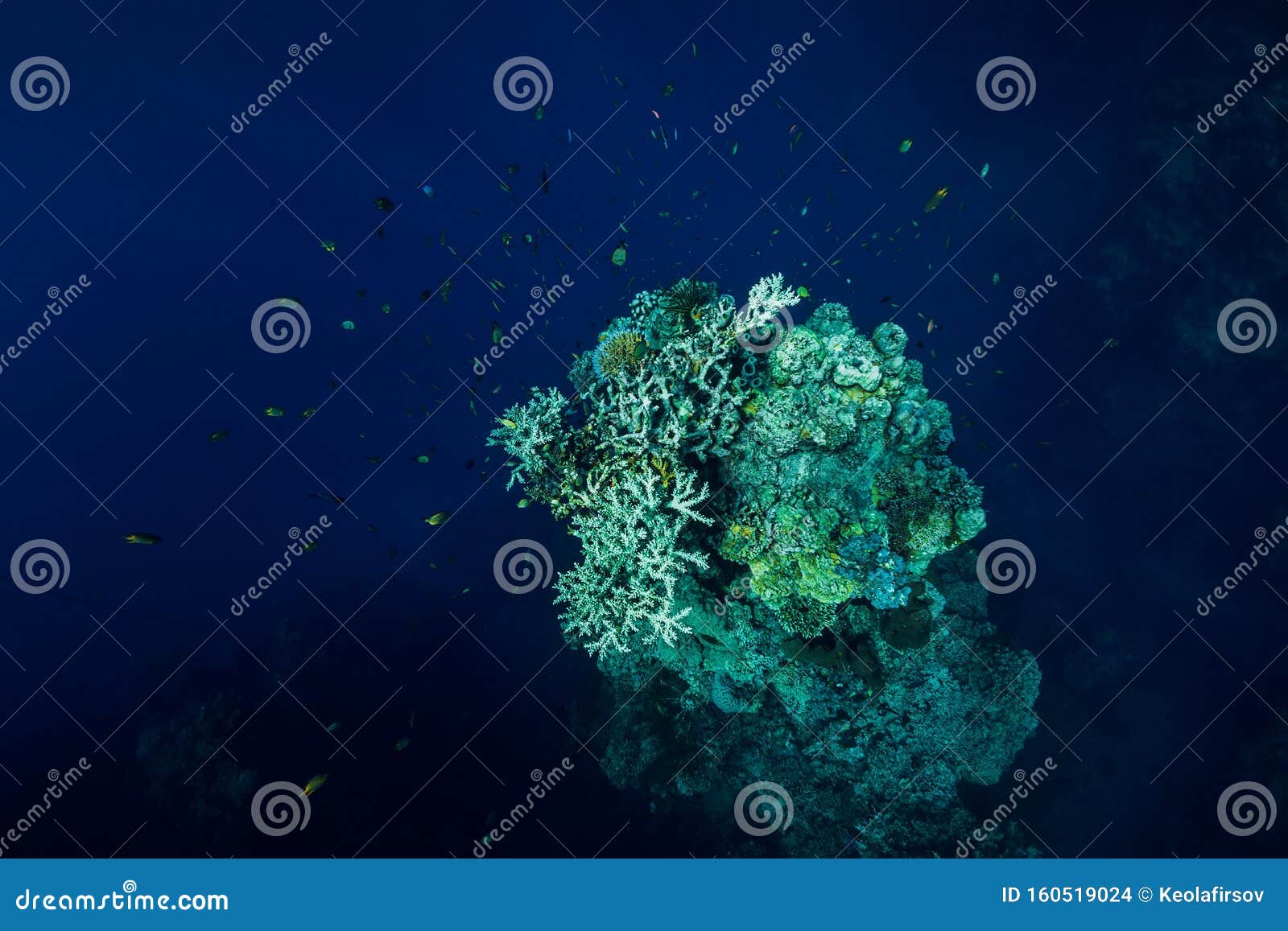 Underwater View with Rocks and Corals in Transparent Blue Ocean ...