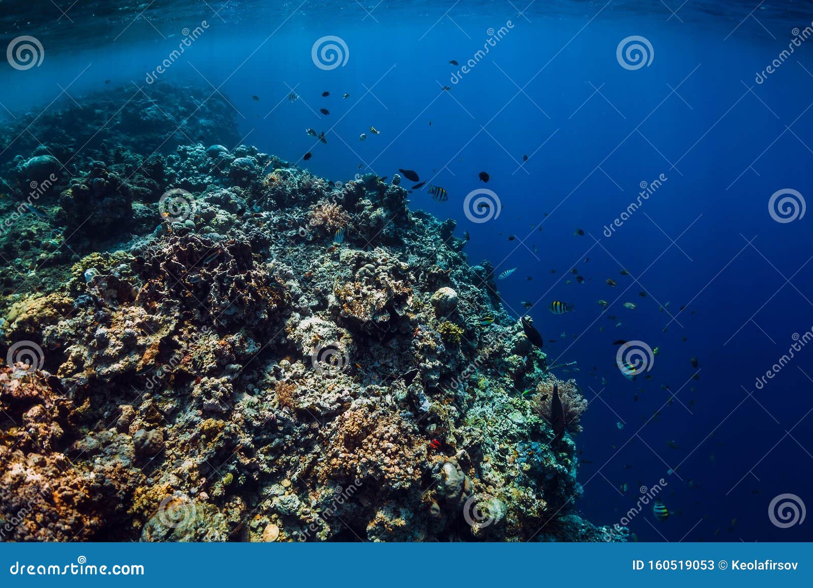 Underwater View with Rocks and Corals in Transparent Blue Ocean ...