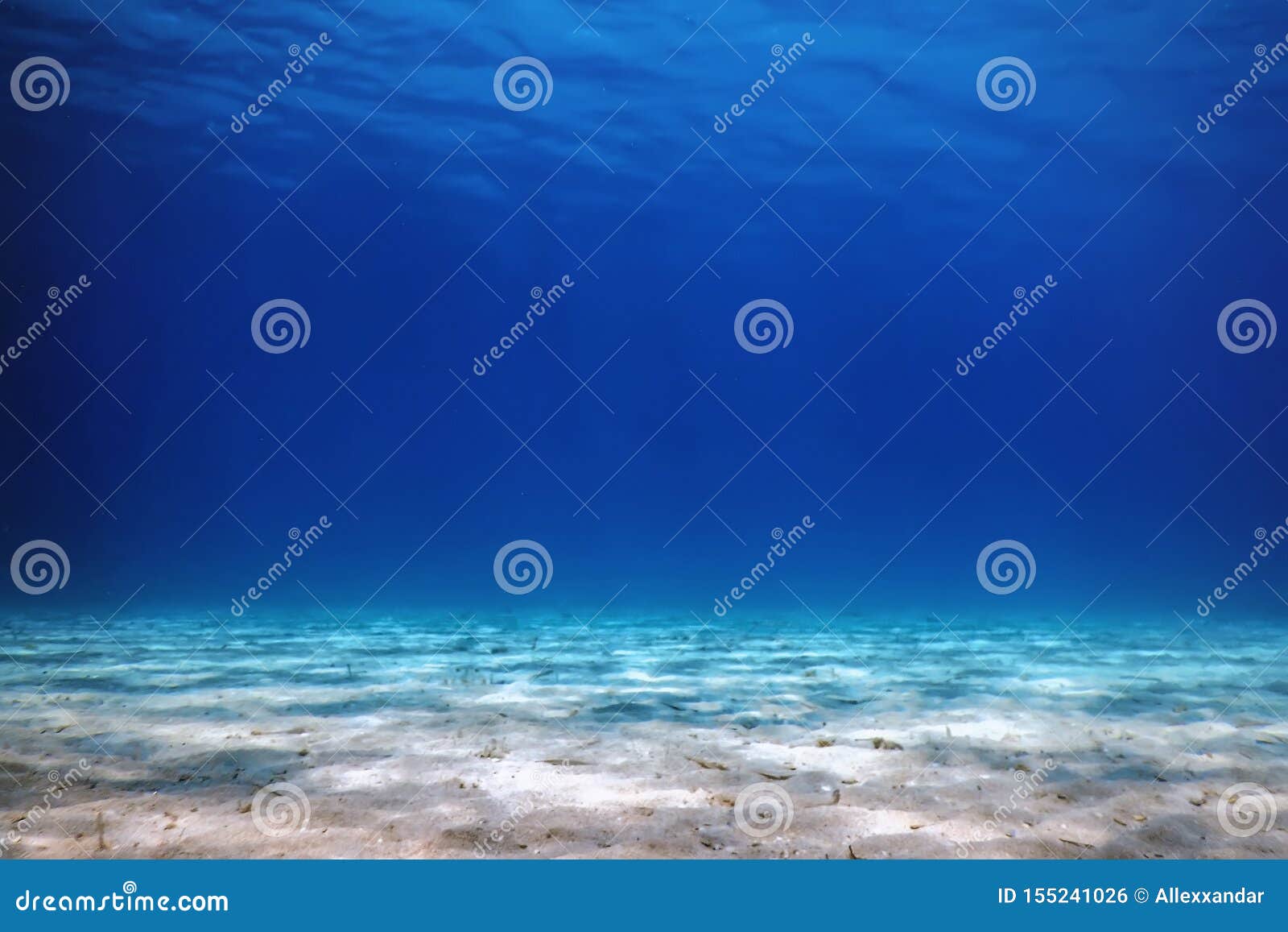 Underwater View of the Sea Surface Stock Photo - Image of ripple ...